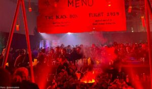 FauxFire® Campfire - Technifex Products